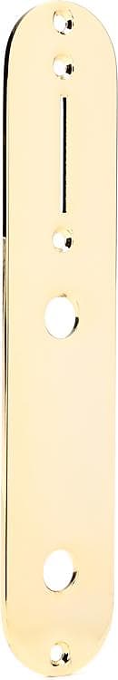 920D Custom 2-hole Telecaster Control Plate - Gold | Reverb