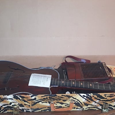 1965 Eminee Tiger Guitar /Amp ORIGINAL COMPLETE Tiger 1965 - | Reverb