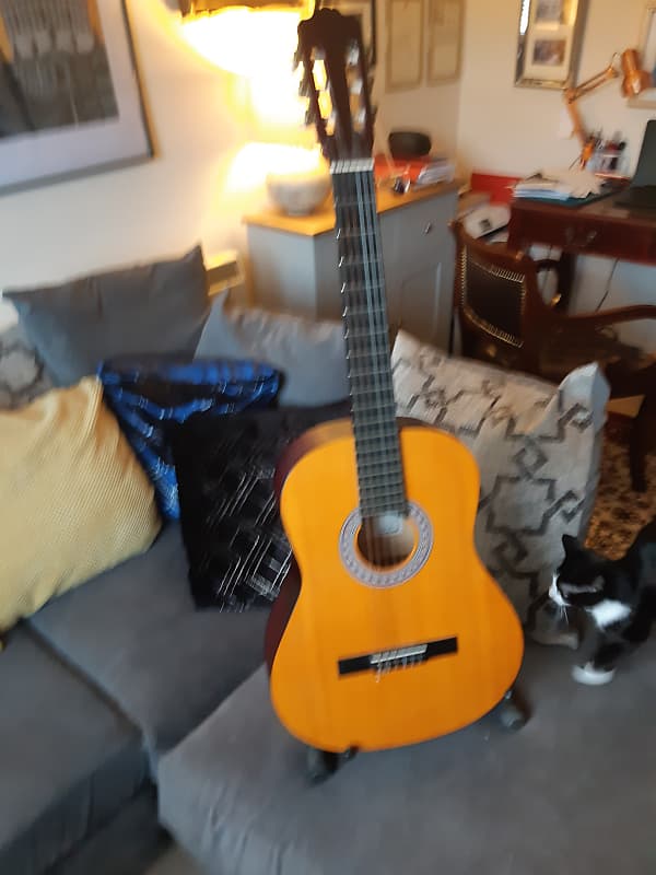 Encore ENC 440FT Acoustic/ Classical in | Reverb Australia