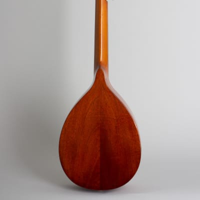 August Pollmann Royal Mandolin Banjo, c. 1890, brown | Reverb