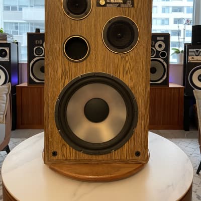 Acoustic Linear Systems 520 | Reverb