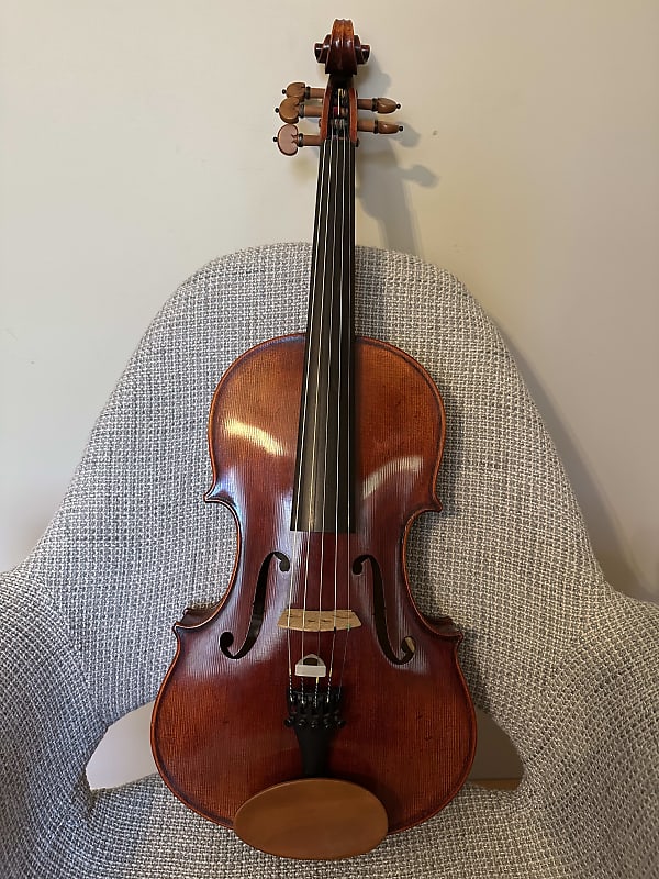 Rare, Eastman custom-handmade 5-stringed viola | Reverb Canada