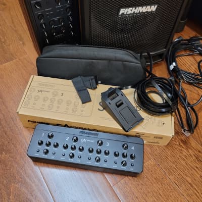 Fishman SA330X PA with Subwoofer, Mixer | Reverb