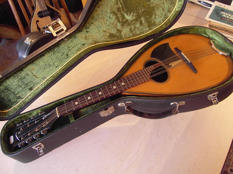 italian Mandola made by Vincenzo Miroglio Catania with case | Reverb