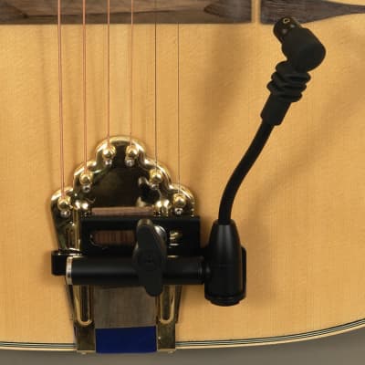Gold Tone ABS-C Banjo-Resonator Guitar Mic (Condenser) | Reverb