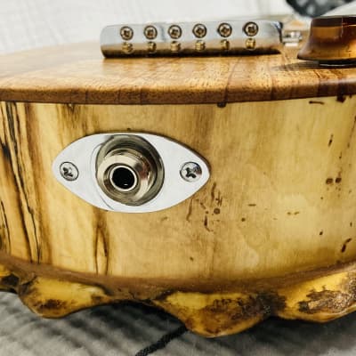 Turtle shell electric guitar- Mango top | Reverb