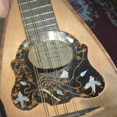 Mandolin Brothers Stridente 1905-1915 | Reverb