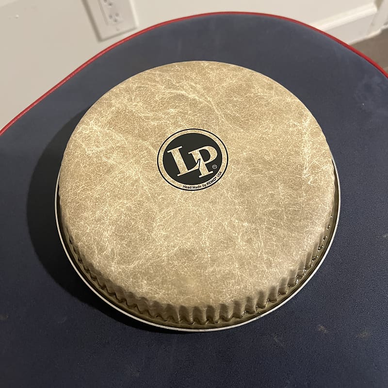 LP by Remo 8" Bongo Head | Reverb
