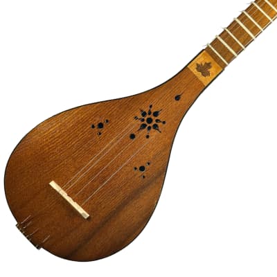 Professional Persian Setar string Musical Instrument | Reverb
