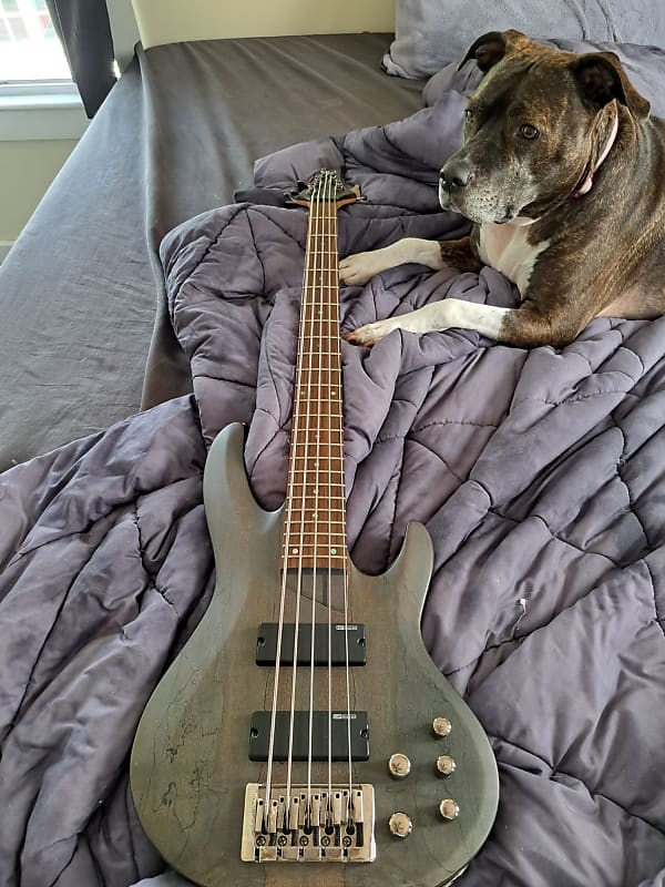 ESP LTD B-205SM (2011 - 2018) | Reverb