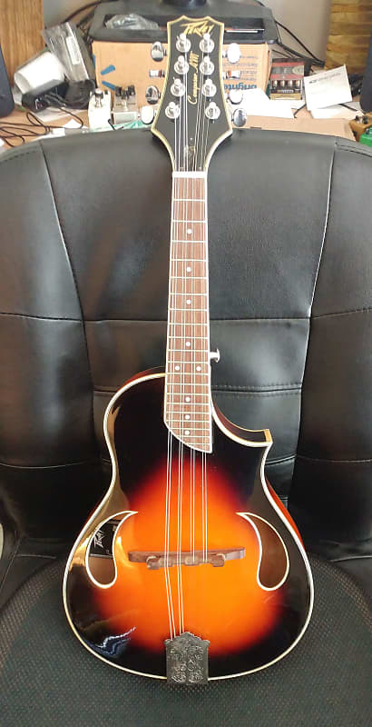 Peavey Composer AM 2014 - Sunburst | Reverb