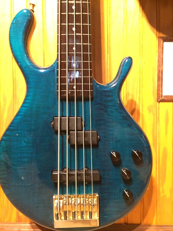 Pedulla MVP Pentabuzz 5 String Fretless 93 AAAAA/Arctic Night | Reverb