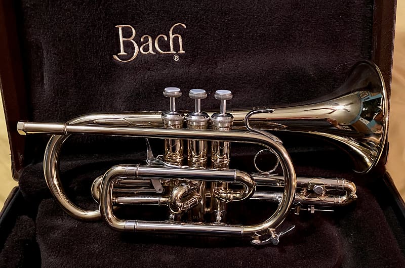 Bach Stradivarius Professional Cornet 184 | Reverb