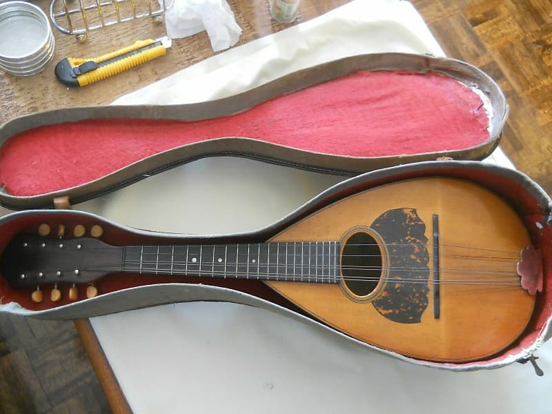C.F. Martin Bowl Back Mandolin | Reverb