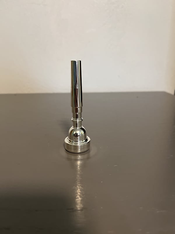 Unbranded 7C - Bright Silver | Reverb