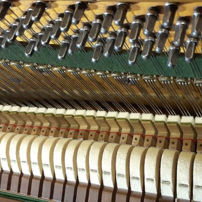 Restored Rosewood C. Bechstein model 10 piano | Reverb