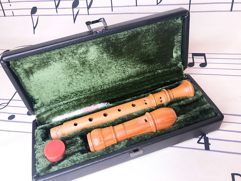 Mollenhauer Denner soprano recorder in a case. Olive wood | Reverb