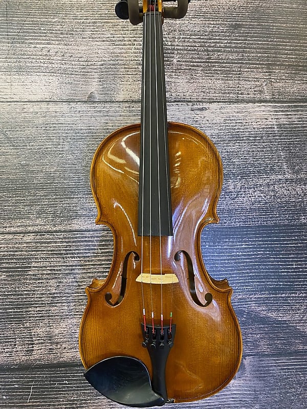 Strunal 260 Violin (Queens, NY) | Reverb