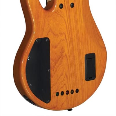 Michael Kelly Guitar Co. Pinnacle 5-String Bass Electric Bass | Reverb