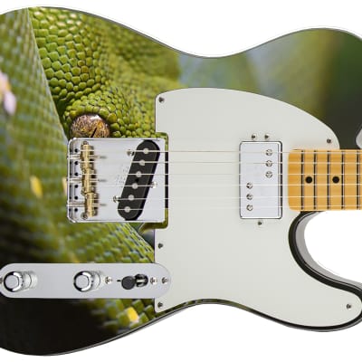 Sticka Steves Guitar Skin Axe Wrap Re-skin Green Tree | Reverb Canada