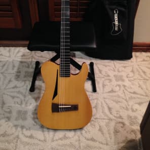 Fernandes P-Project 1998-99 AI-N Nylon Electric-Acoustic | Reverb
