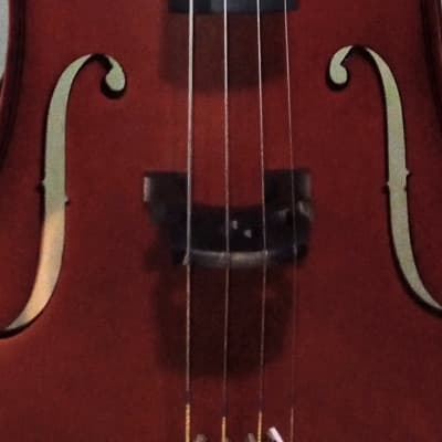 UNMARKED CUSTOM UPGRADED 4/4 CELLO - NATURAL WORN SATIN FADE | Reverb