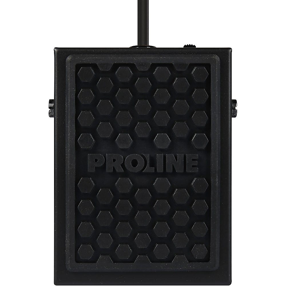 Proline PSS10 Universal Expression Pedal with Polarity | Reverb France