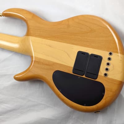 CARVIN USA IC5 Icon 5-String Bass Guitar w/Case - AAA Flame | Reverb