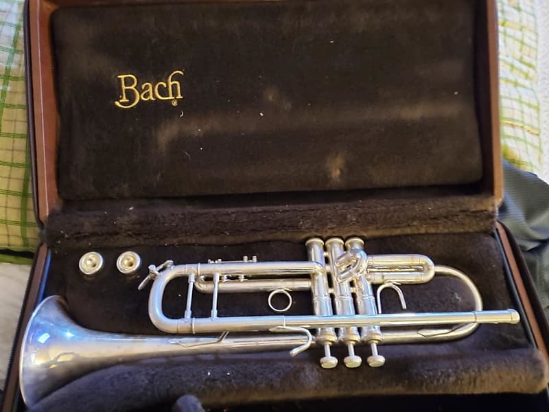 Trumpet Bach model 43 Silver Plated | Reverb