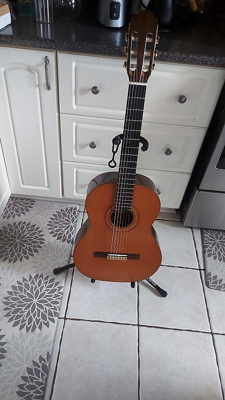 Raimundo 130 - Rosewood back and sides | Reverb