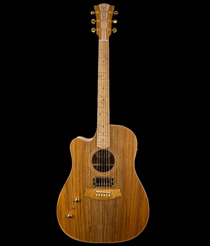 Cole Clark CCFL2EC-LH-BLBL-HUM Fat Lady 2 Series Left Handed | Reverb