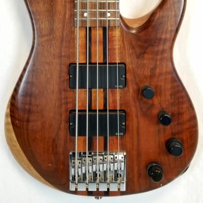 Vintage Dan Ransom Custom "Fathom" 5-String Electric Bass, | Reverb