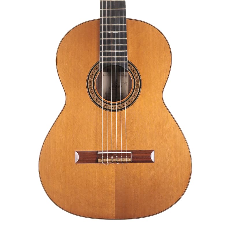 Antonio Picado Classical Guitar Model 49 with Hard Case. | Reverb
