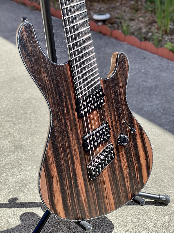 Mayones Regius VF 7 TEW Ash wings, Macassar Ebony Multiscale | Reverb