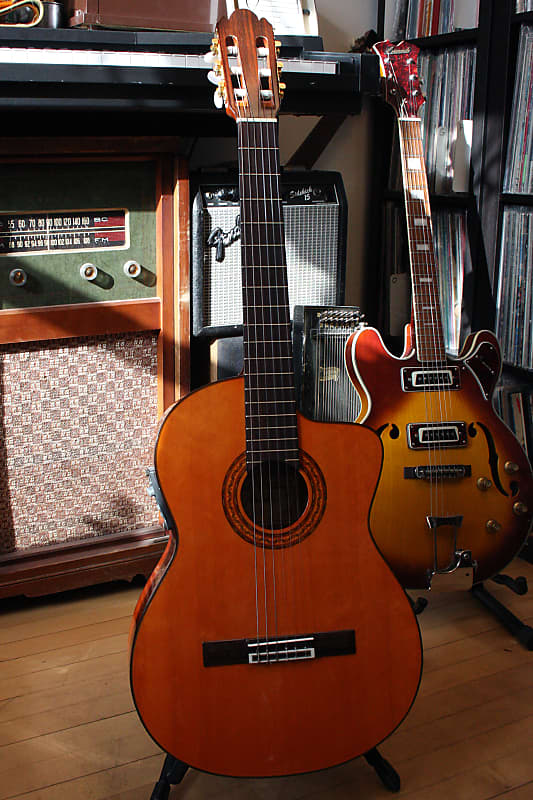 Alvarez AC40SC Cutaway Classical Acoustic/Electric w/ case | Reverb