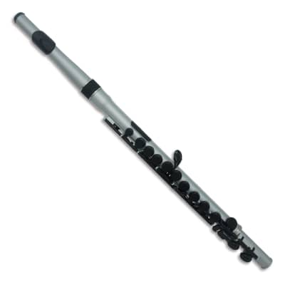 Blessing B101 Flute with Case | Reverb Deutschland