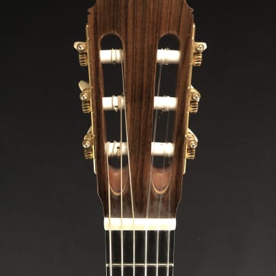 2010 David Pace "Double Top" Classical Guitar | Reverb
