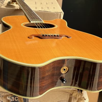 Daion The '81 - Gazelle 1981 - a wonderful Brazilian Rosewood | Reverb