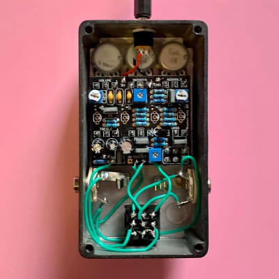 Rarebird effects- Sunn Model T (((in a box))) | Reverb France