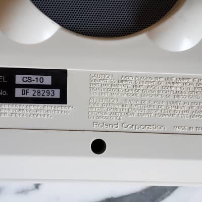 90s Roland CS-10 Stereo Micro Monitor | Reverb