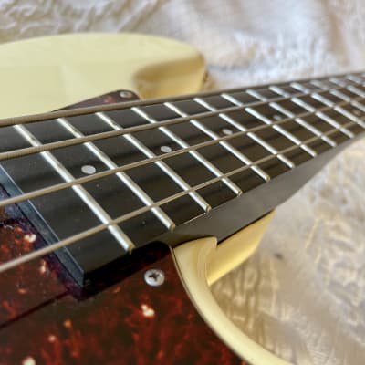 Modulus VJ4 Bass - 1994 | Reverb