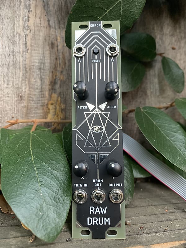 Error Instruments Raw Drum Eurorack Percussion / Oscillator | Reverb
