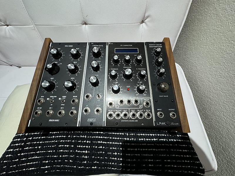 Ultimate 5U FX Case and Modules Modular Les Mono Berlin | Reverb
