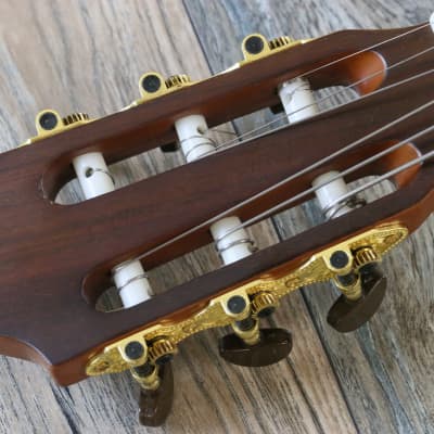 Antonio Hermosa AH-50 Classical/Electric Baritone Guitar + | Reverb