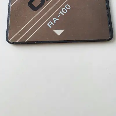 Casio RA-100 RAM Card for Casio HT + HZ / Hohner KS | Reverb
