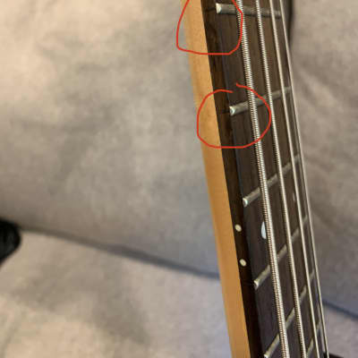 Spector Legend 4 Holoflash | Reverb