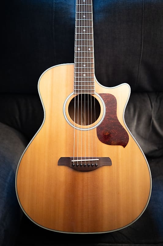 Legator HCC7-300 7 String Seven String Acoustic Electric | Reverb