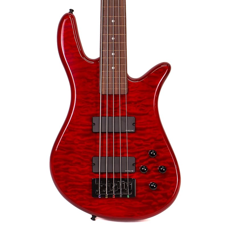 Spector Q5 Pro 1999-2003 Fretless Conversion | Reverb