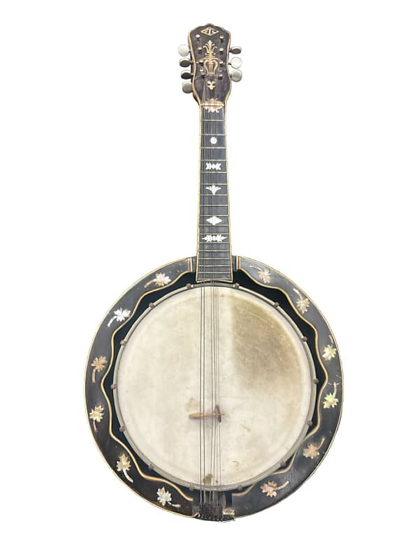 Custom Banjo Banjolin | Reverb