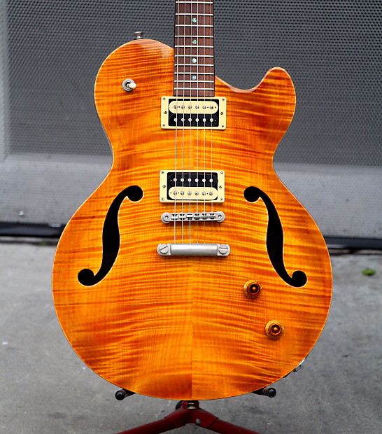Robin Savoy Solid Monster Flame Maple Top Semi Hollow Guitar | Reverb